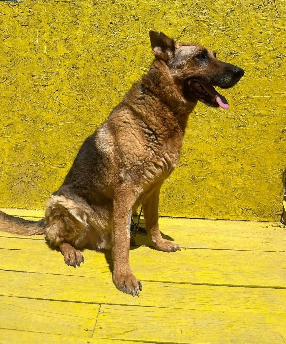 Luna